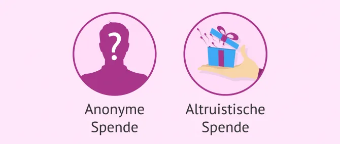 Ablauf Einer Samenspende FDP Möchte Samenspende über Tod Hinaus